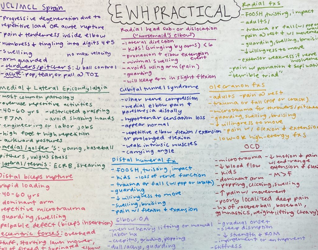 How to Study for MSK: Tips for Success - The Curly Clinician - Physical ...